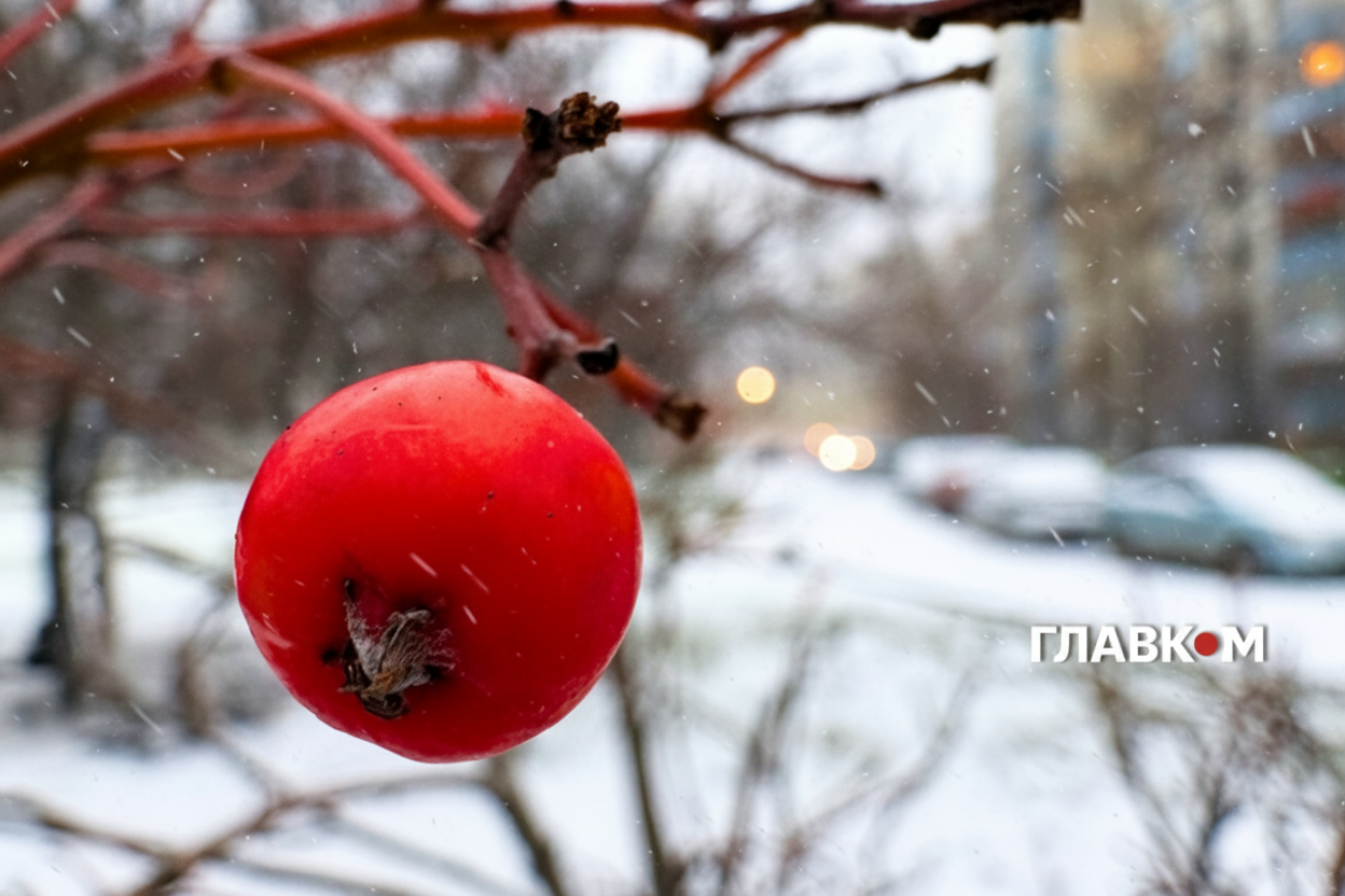 Weather January 2: strong wind, snow and sharp temperature fluctuations ...